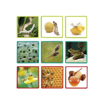 Nature Maxi-Sequences