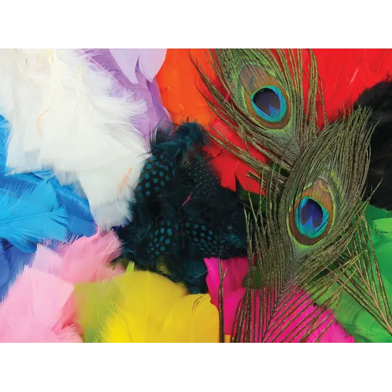Assorted Feathers - 100 g