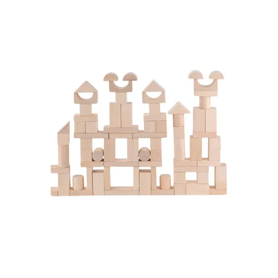 Natural Blocks Set of 100