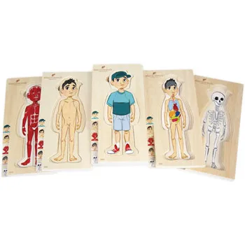Body Puzzle - Boy