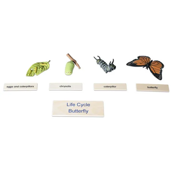 Butterfly Life Cycle Model & Puzzle Set