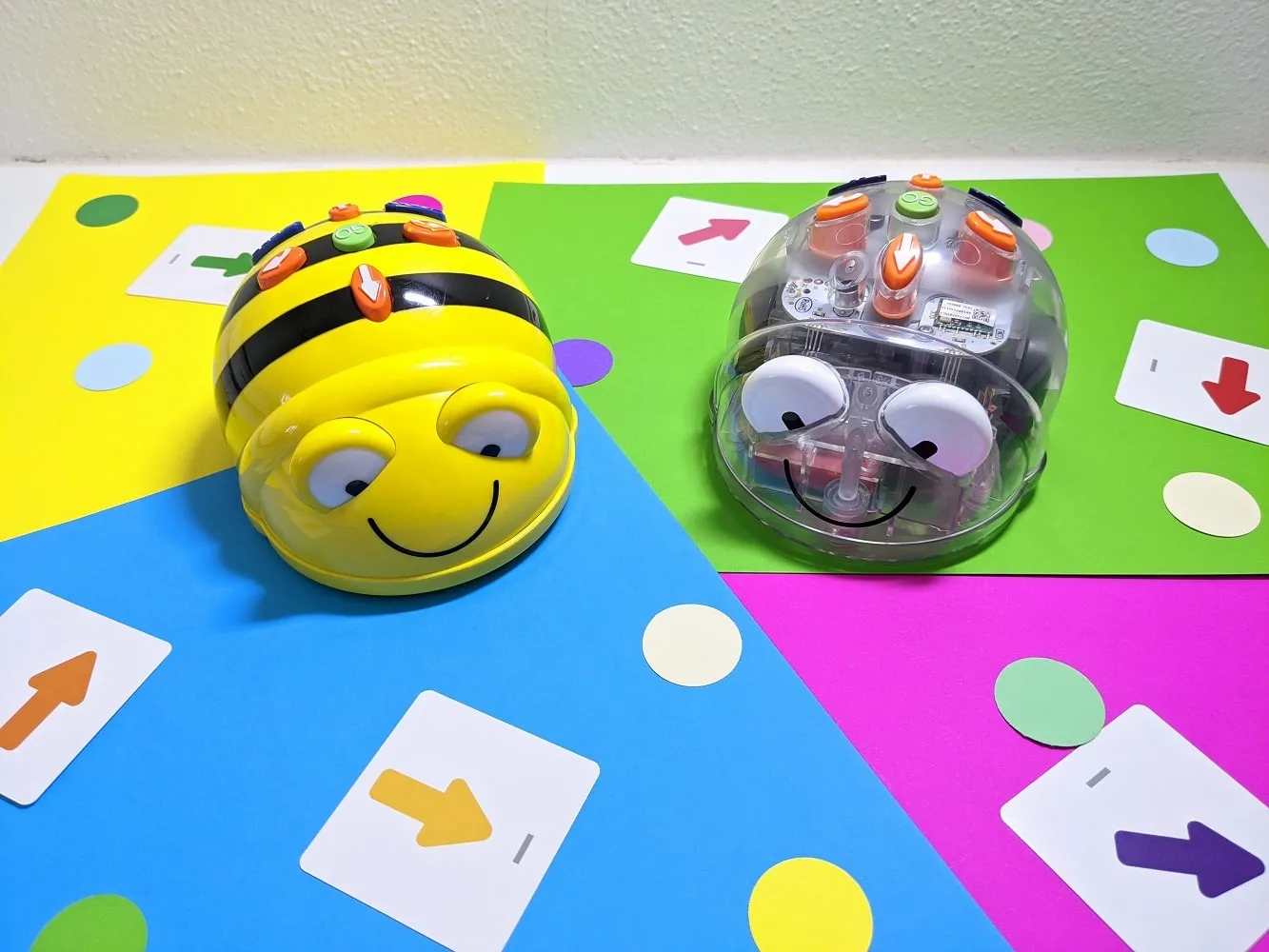 Introduction to the Bee-Bot and Blue-Bot in the Classroom