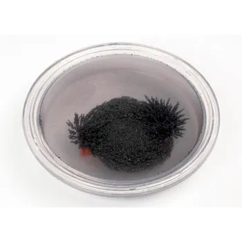 Iron Filing Discs - Pack of 10