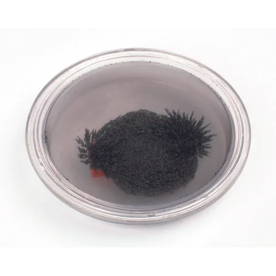 Round Iron Filing Discs - Set of 10