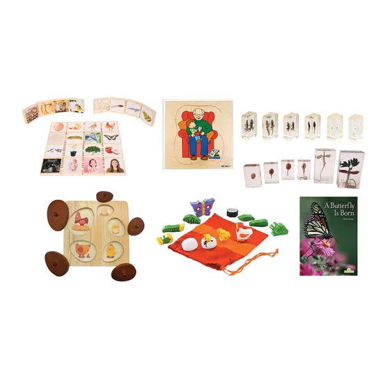 Early Years Life Cycle Kit