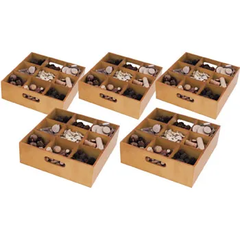 Wooden Sorting Tray - Pack of 5