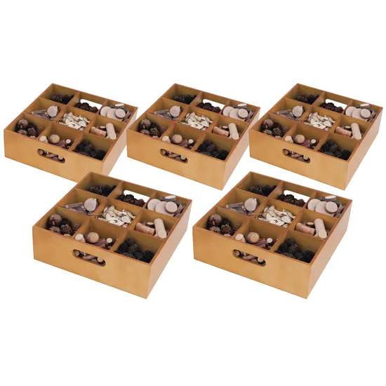 Wooden Sorting Tray - Set of 5