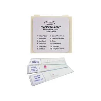 Prepared Slide Set 12p