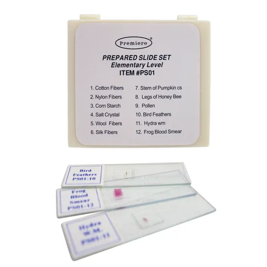 Prepared Slide Set 12p