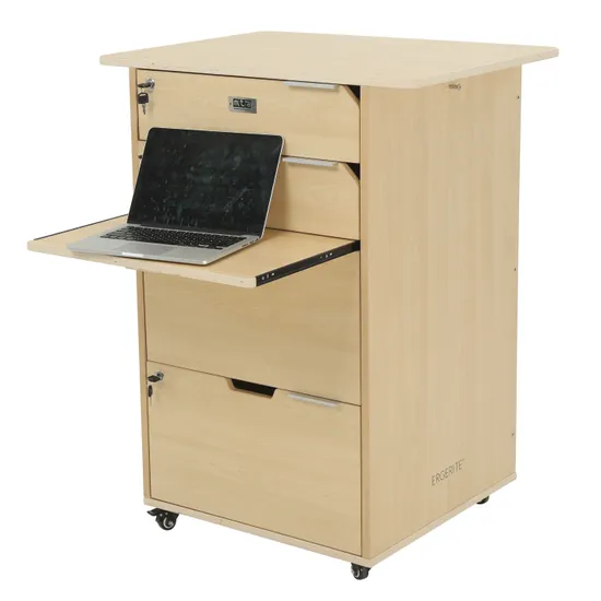 Ergerite Teacher Pod - MTA Catalogue