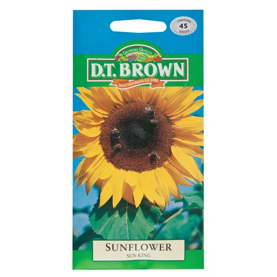 Sunflower - Flower Seeds - Pack of 45 Seeds