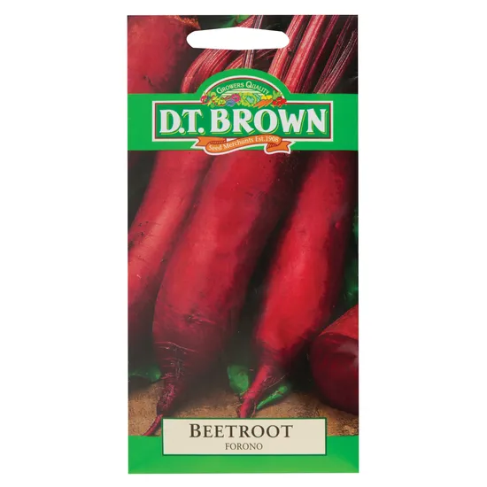Beetroot Forono - Vegetable Seeds -200 Seeds