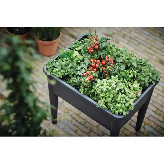Green Basics Grow Table XXL Living Black - MTA Catalogue