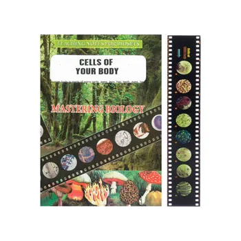 Bio Viewer Slide Set - General Cells of your Body
