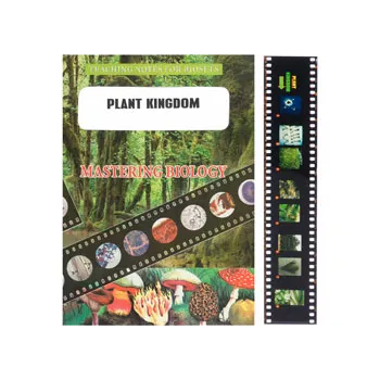 Bio Viewer Slide Set The Plant Kingdom