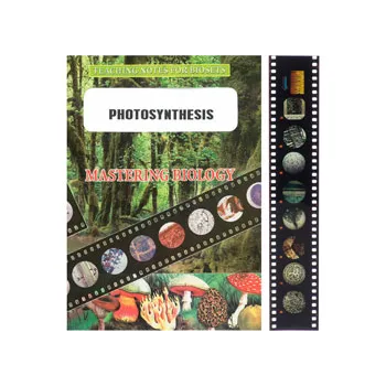Bio Viewer Slide Set Photosynthesis