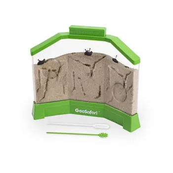 Geosafari Ant Factory