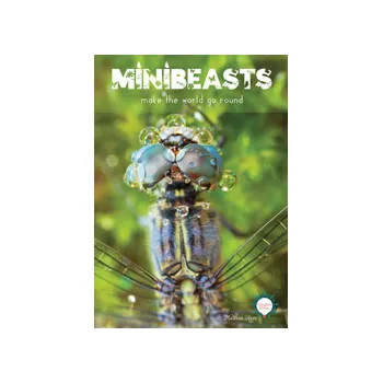 Minibeasts