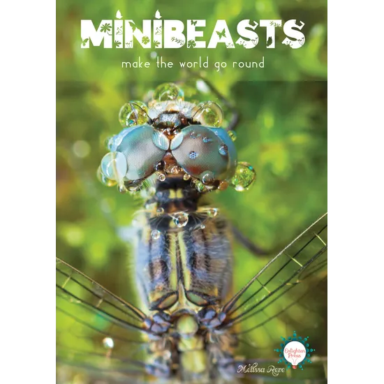 Minibeasts
