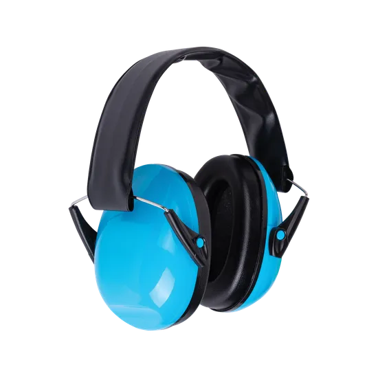 27Db Hearing Protector - Blue