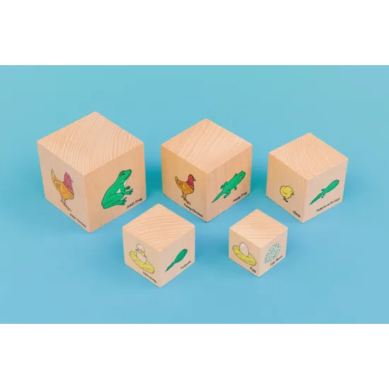 Life Cycle Blocks