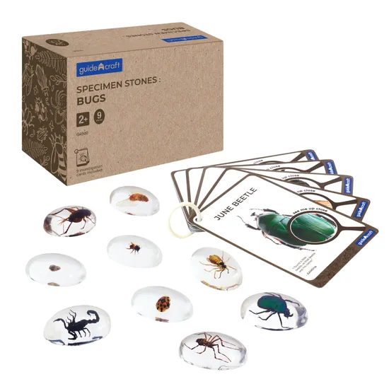 Specimen Stones: Bugs