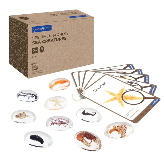 Specimen Stones: Sea Creatures