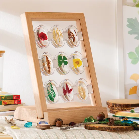 Specimen Stones Tabletop Stand