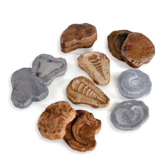 Magnetic Matching Fossil Stones - Set of 6
