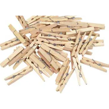Wooden Mini Pegs - Pack of 48