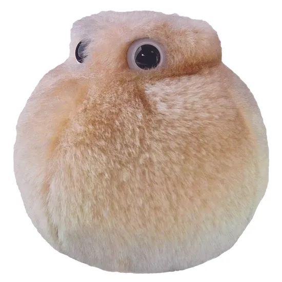 FAT Cell Giant Microbe
