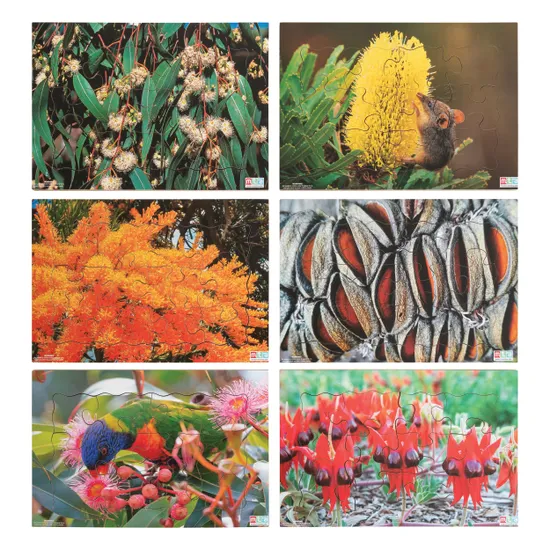 Australian Flora Puzzles Collection B - Set of 6