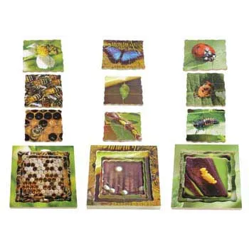 Insect Life Cycles Layered Puzzle Set of 3