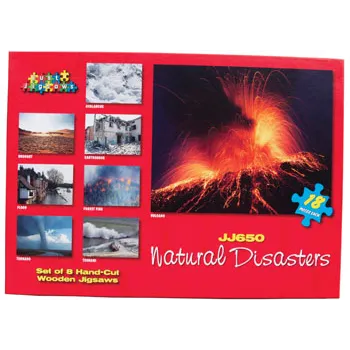 Natural Disaster Puzzles Set of 8
