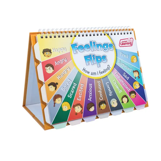 Feelings Flip Chart