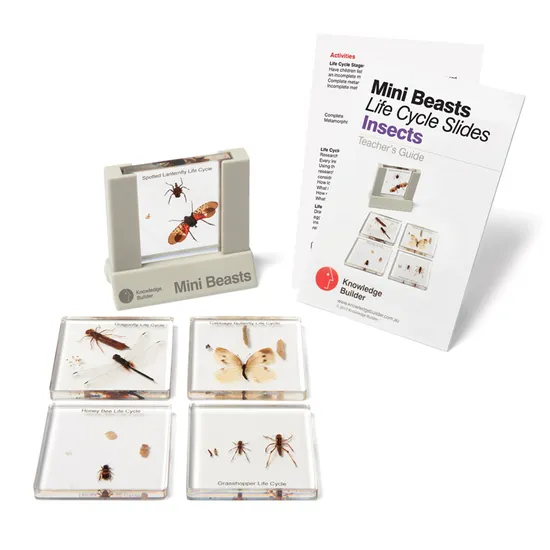 Mini Beasts Life Cycle Slides & Viewer - Insects