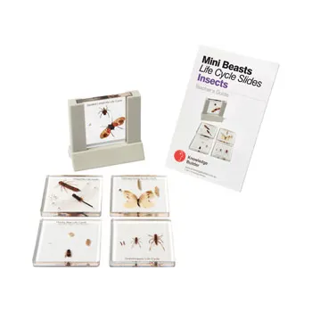 Mini Beast Life Cycle Slides & Viewer - Insects