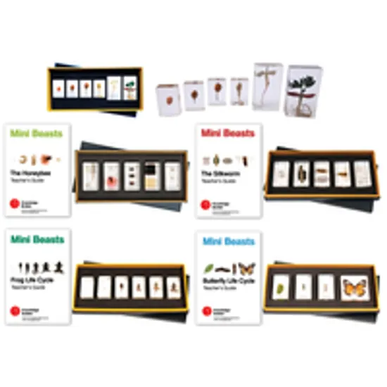 Mini Beast Super Life Cycle Kit - Set of 5