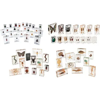 Mini Beasts Complete Set