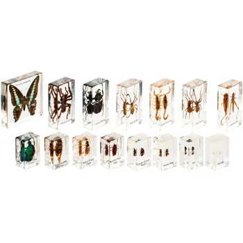 Mini Beasts Complete Set - MTA Catalogue