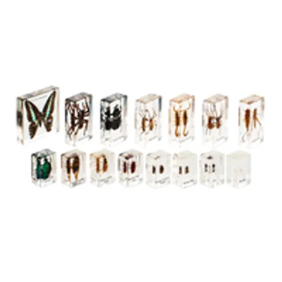 Mini Beasts Insects and Spiders - Large Set - MTA Catalogue