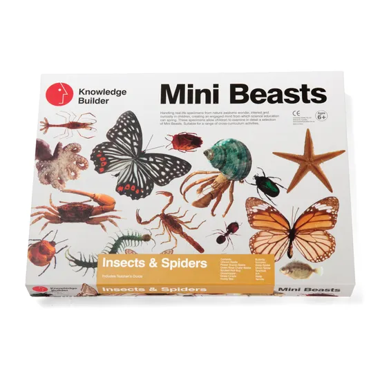 Mini Beasts Insects and Spiders - Large Set - MTA Catalogue