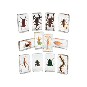 Mini Beast Critters Kit