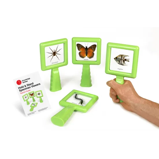 Mini Beast Specimen Viewer with Handle - Set of 4