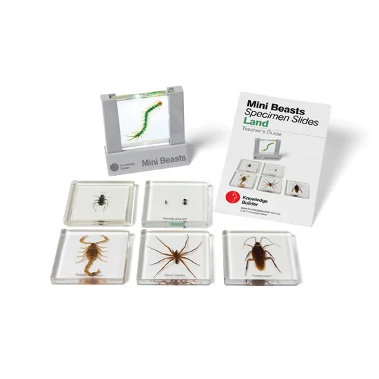 Mini Beast Land Viewer with Slides - Set of 6 - MTA Catalogue