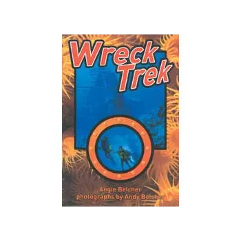 Wreck Trek - Level 31