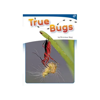 True Bugs Levles 9-11