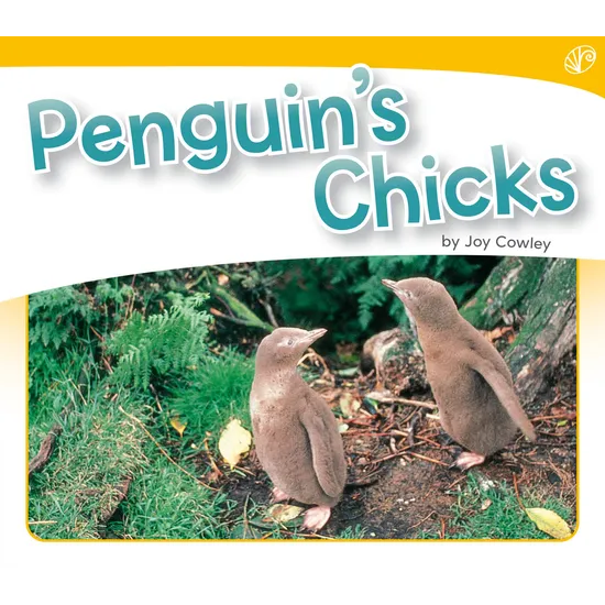 Penguins Chicks