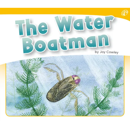 The Water Boatman - MTA Catalogue