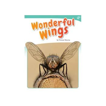 Wonderful Wings